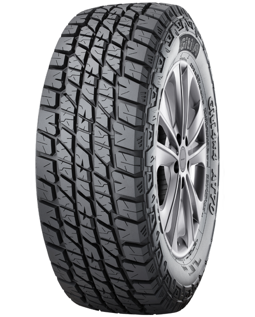 Homepage | Giti Malaysia